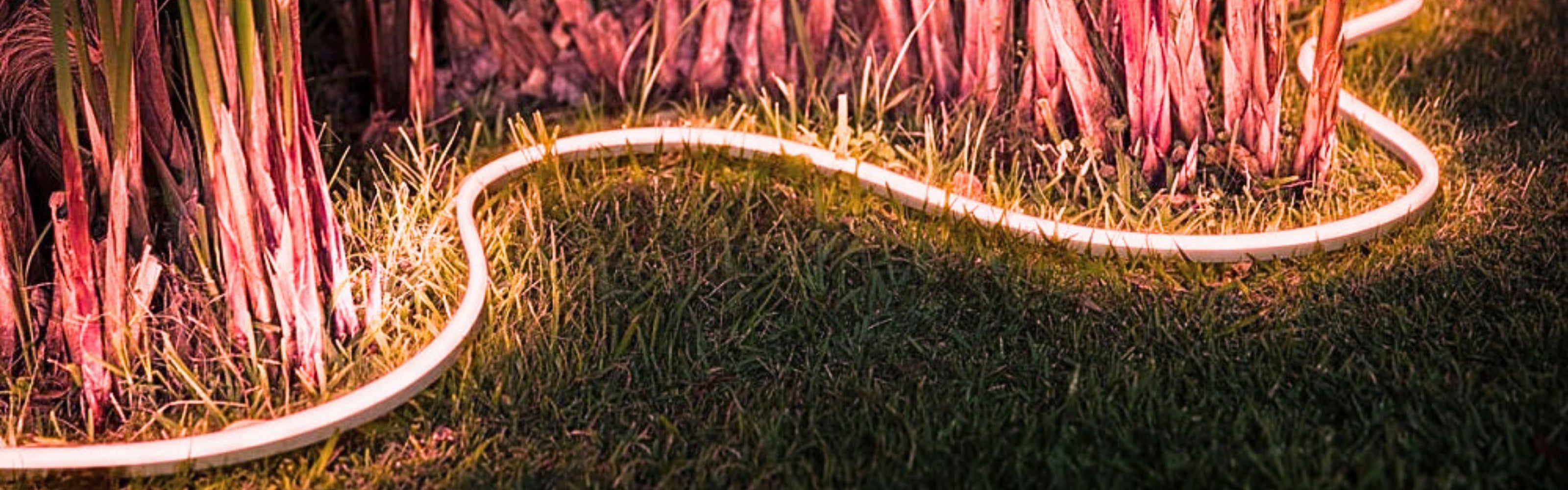 LED Neon Flex Lights, Flexible Light Strips | UK LED Lights