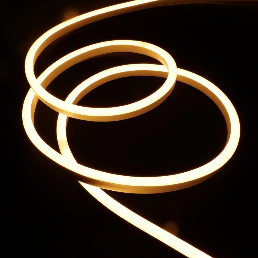 RGB Neon Flex 220V 240V 10x20mm Flat Shape IP65 Bluetooth App Control ...