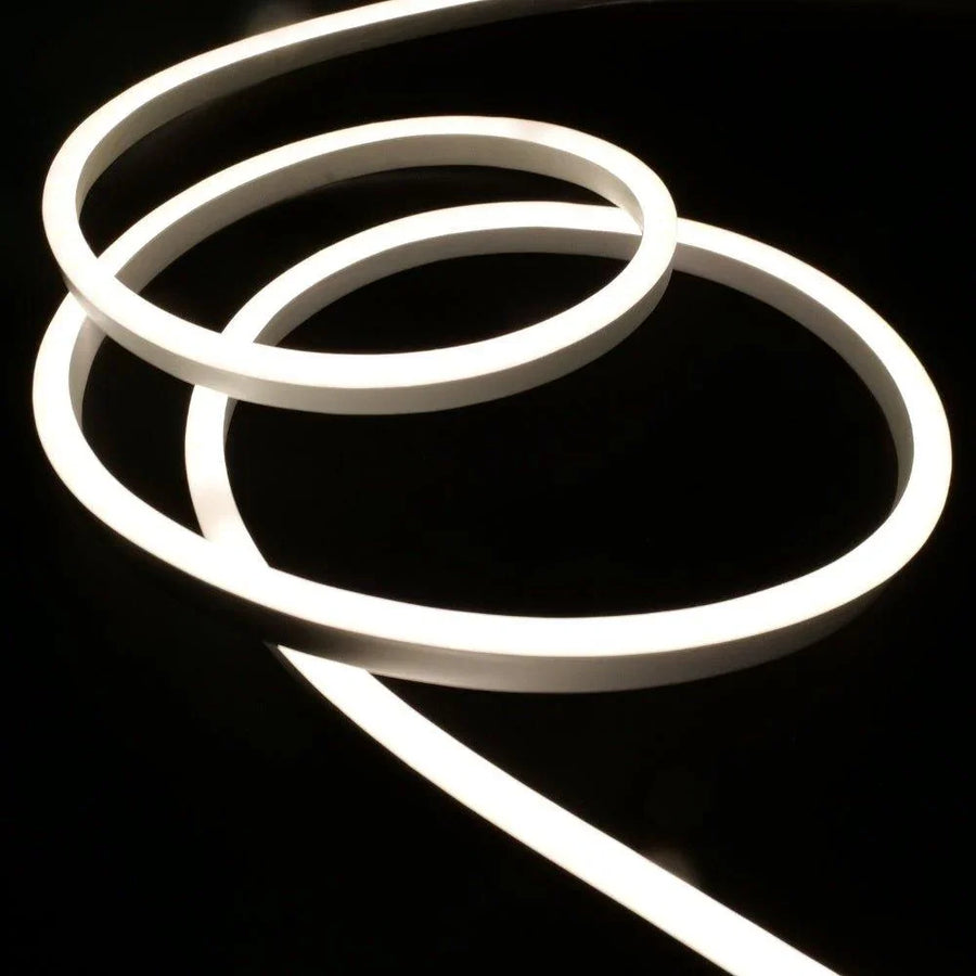 RGB Neon Flex 220V 240V 10x20mm Flat Shape IP65 Bluetooth App Control ...